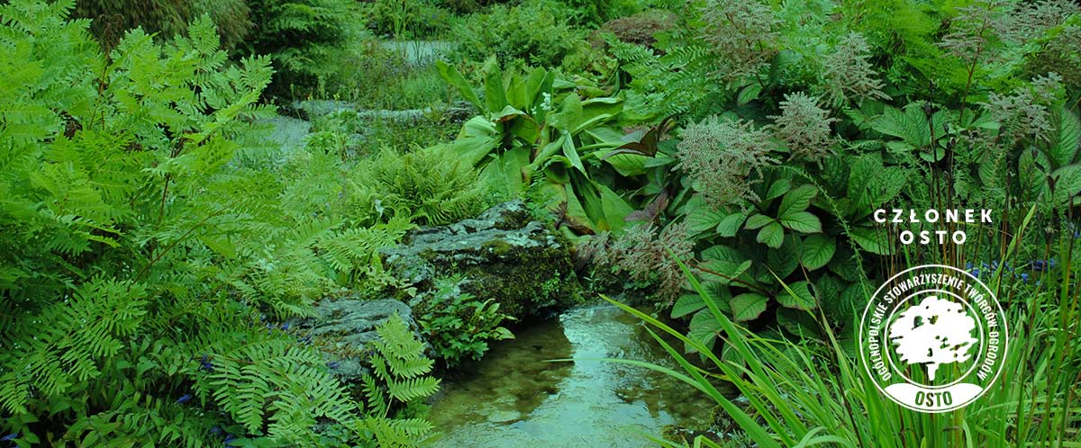 Małgorzata Napiórkowska-Bombik / 4 Pory Roku - Członek OSTO