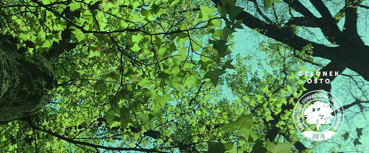 Tomasz Siedlecki / Eko-Las-Plus - Członek OSTO